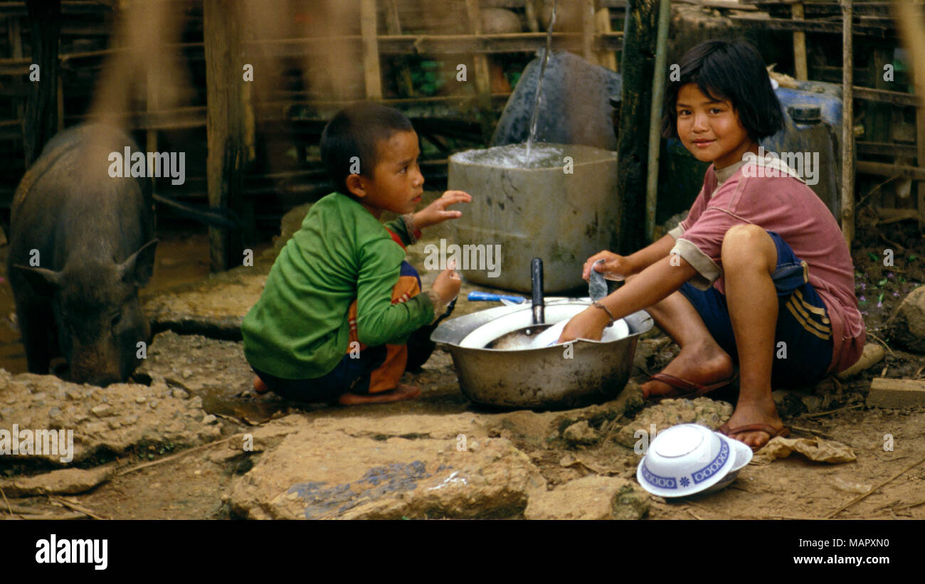 Young indigenous Akha hilltribe children washing dishes in a pig pen ...