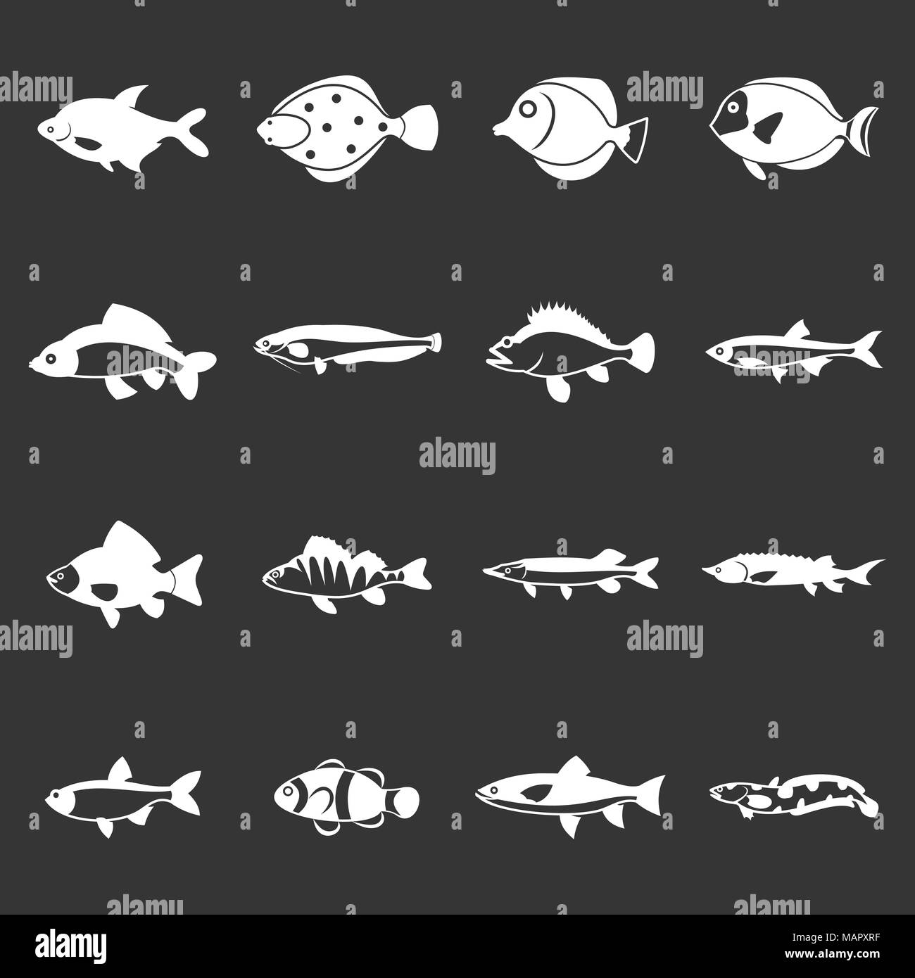 Cute fish icons set grey vector Stock Vector Image & Art - Alamy