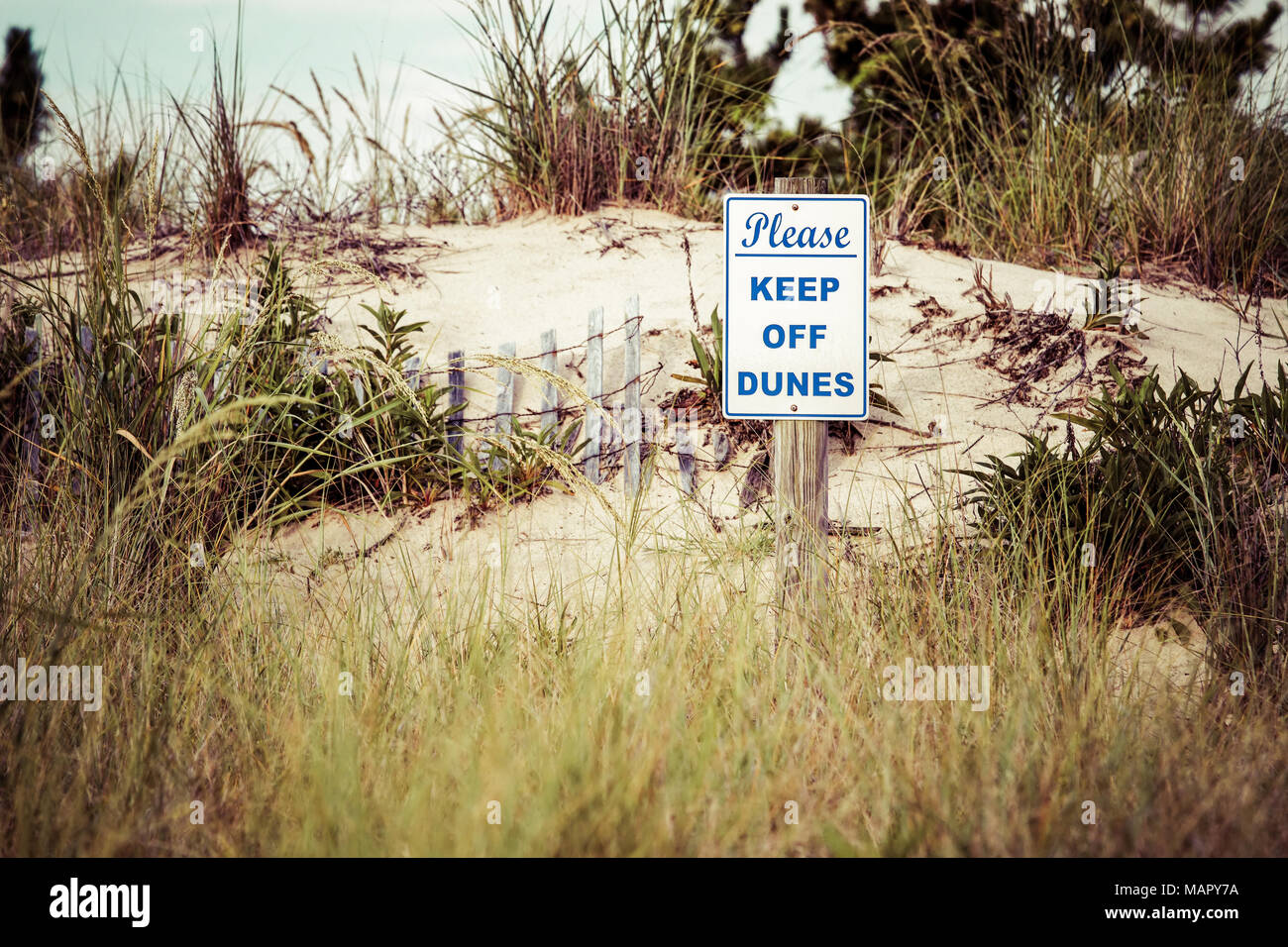 Please keep off dunes Stock Photo - Alamy