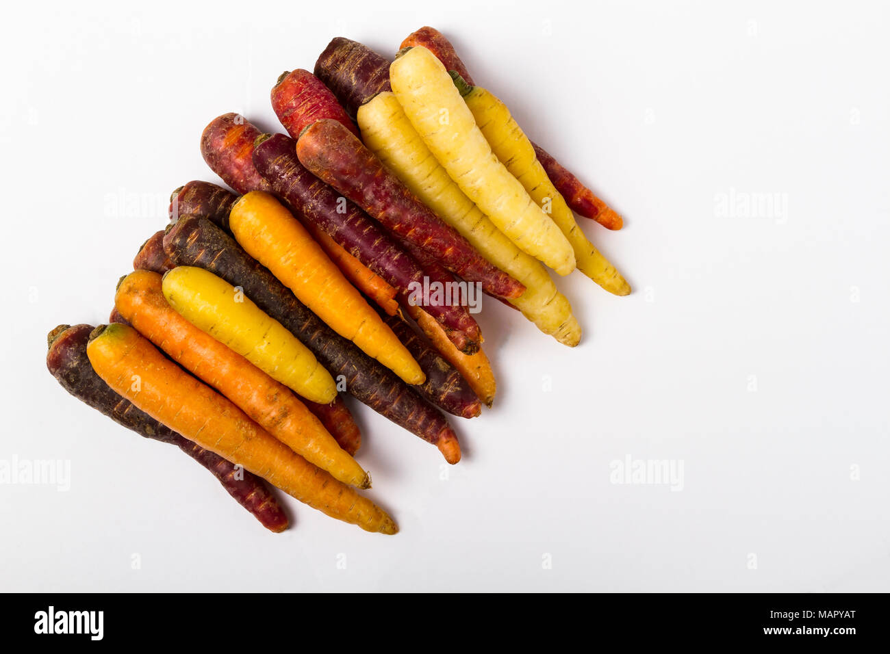 Multi-colored carrots on a white background Stock Photo - Alamy