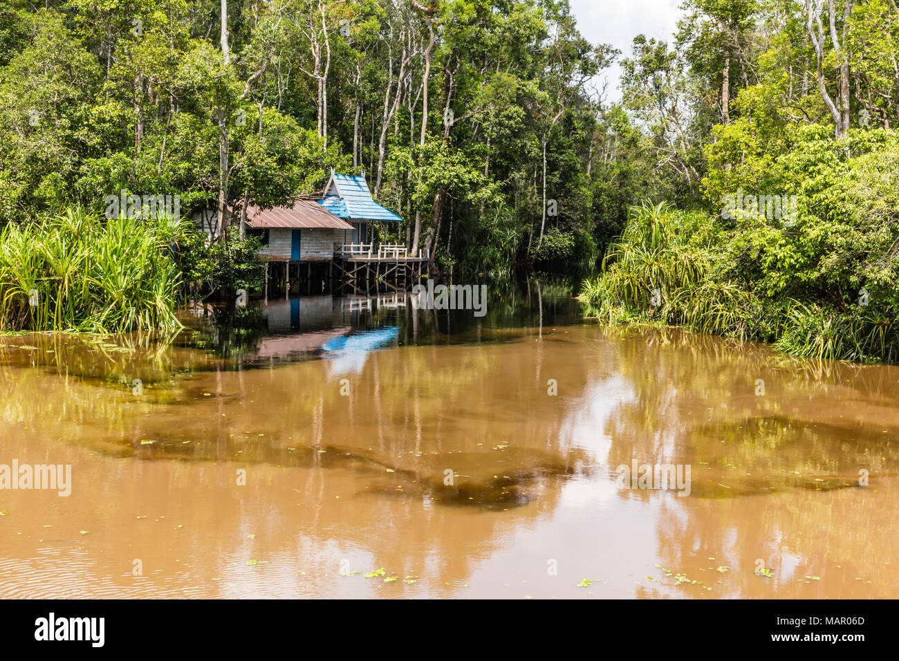 Ranger shack on the Sekonyer River, Tanjung Puting National Park ...