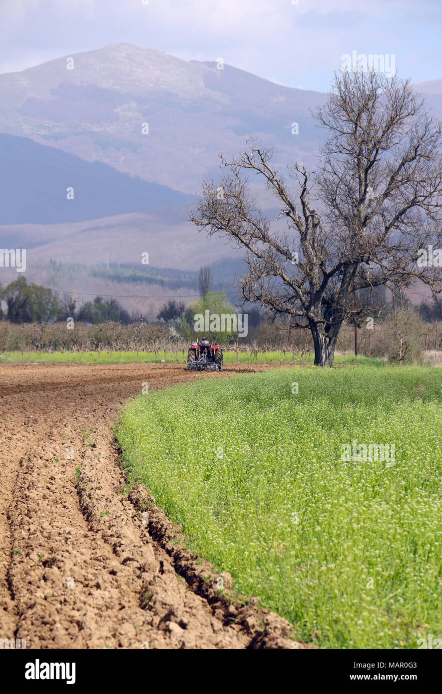 Man Plowing Field High Resolution Stock Photography and Images - Alamy
