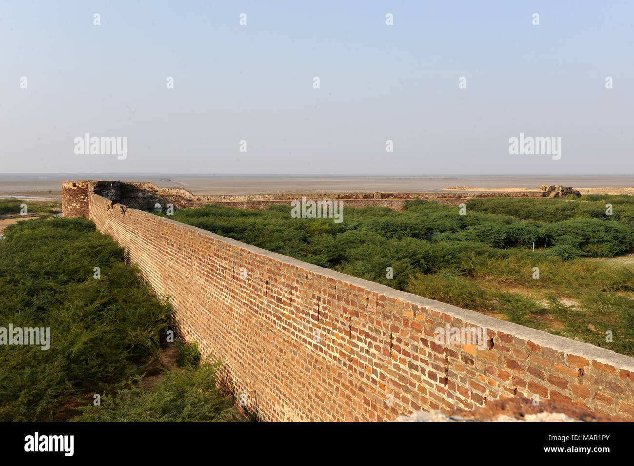 Kori creek hi-res stock photography and images - Alamy