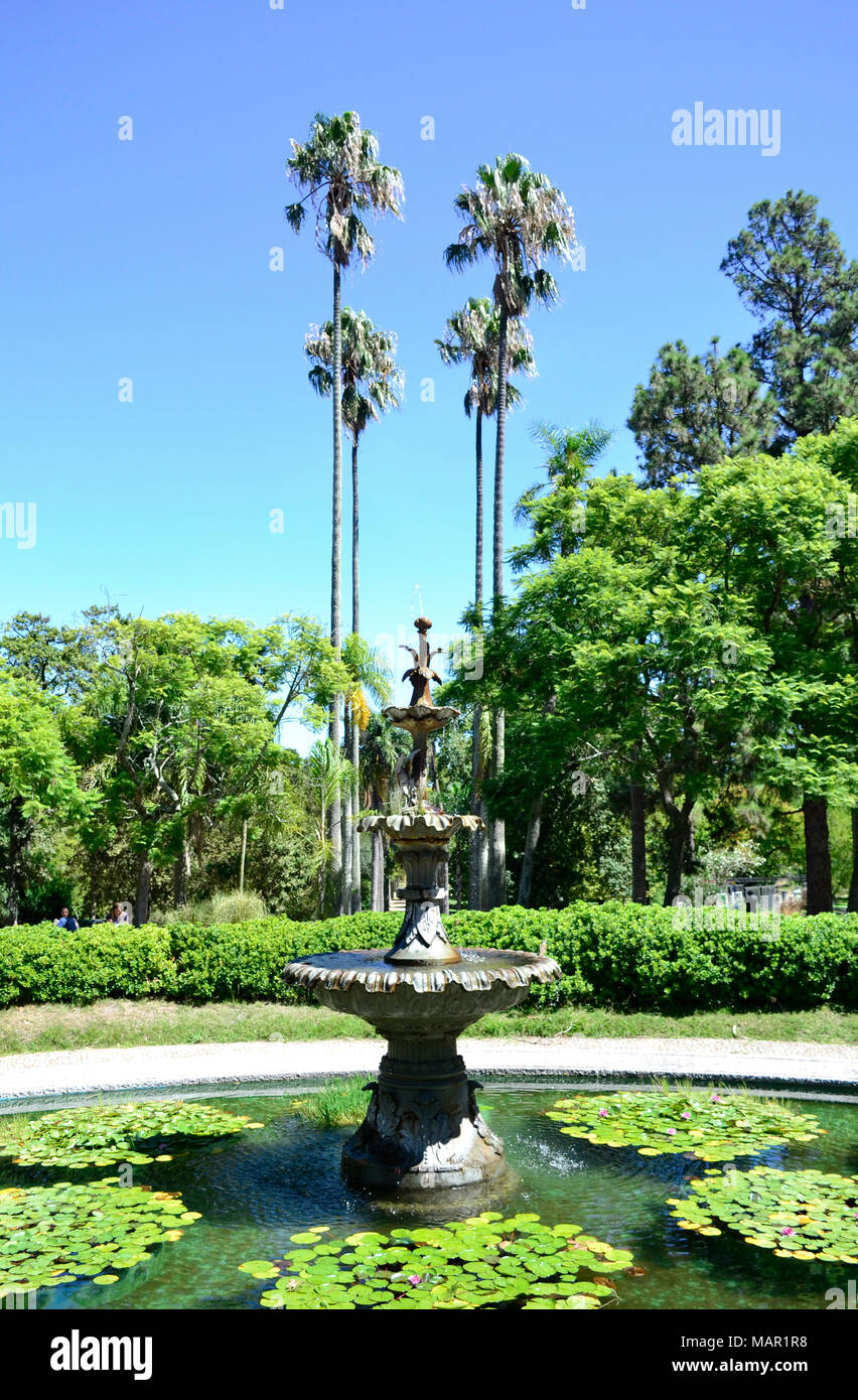 Little fountain in a pool by the garden Stock Photo - Alamy