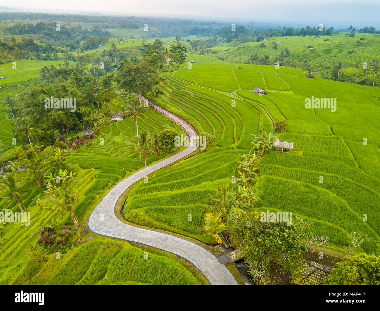 Indonesia field rainforest hi-res stock photography and images - Alamy