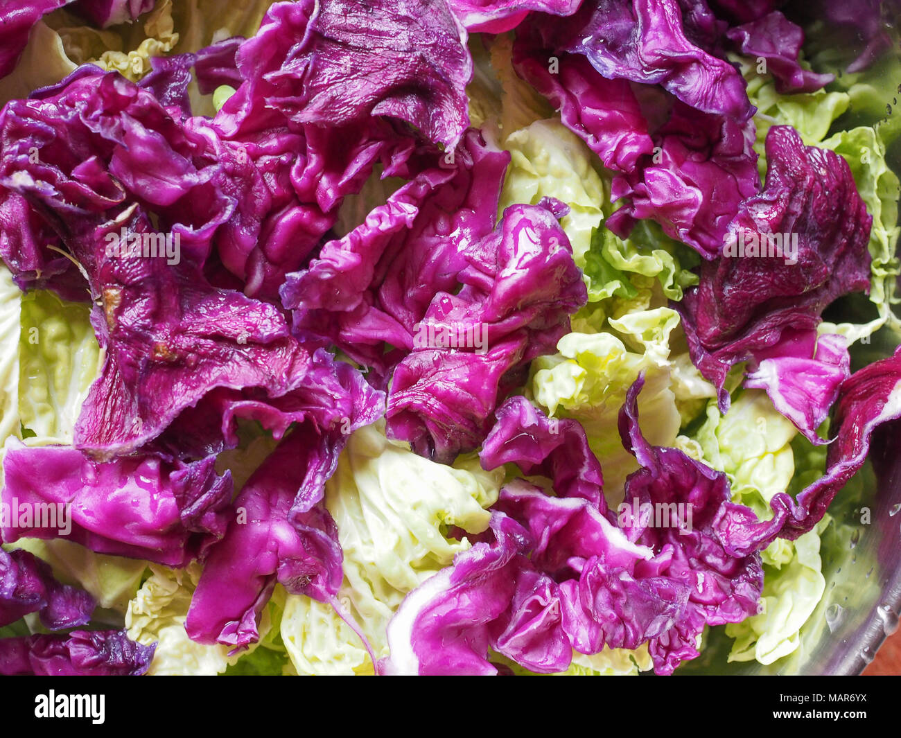 red and green cabbage (Brassica oleracea) vegetables vegetarian and ...