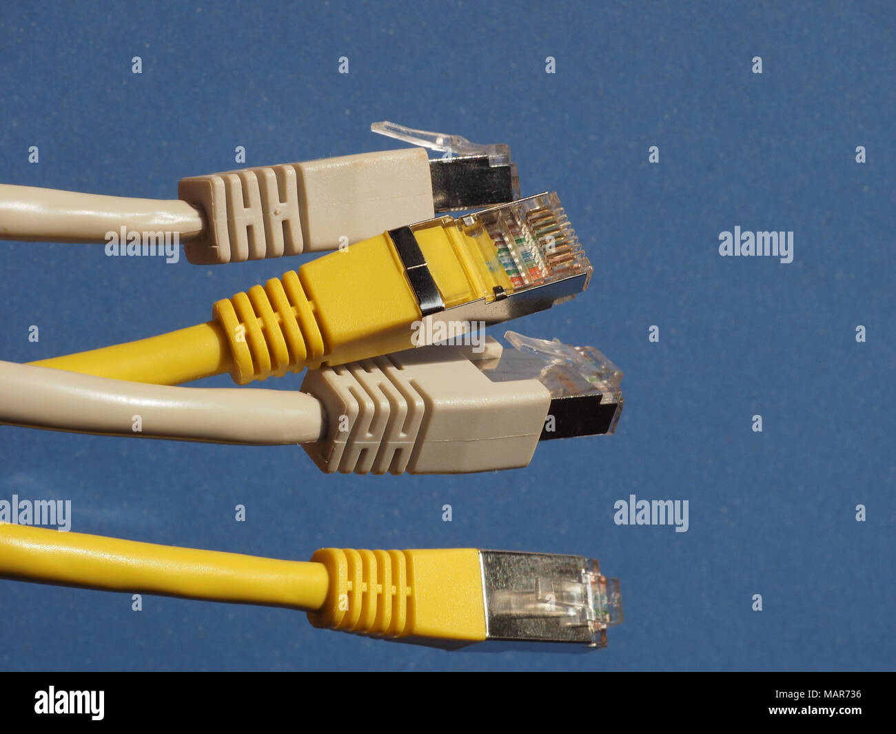 RJ45 plug for LAN local area network ethernet connection Stock Photo ...
