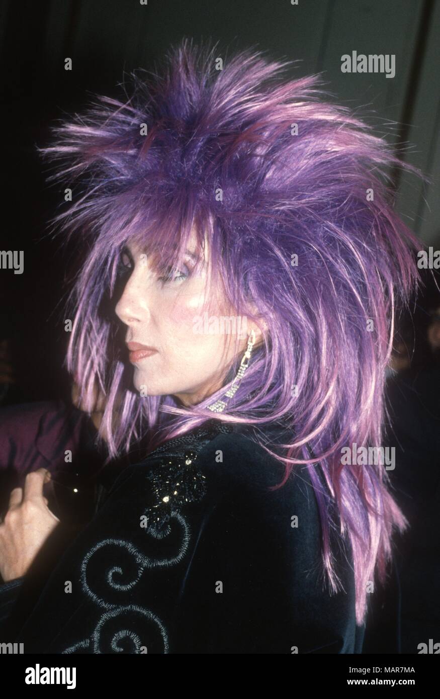 Cher 1982 Photo By John Barrett/PHOTOlink.net Stock Photo - Alamy
