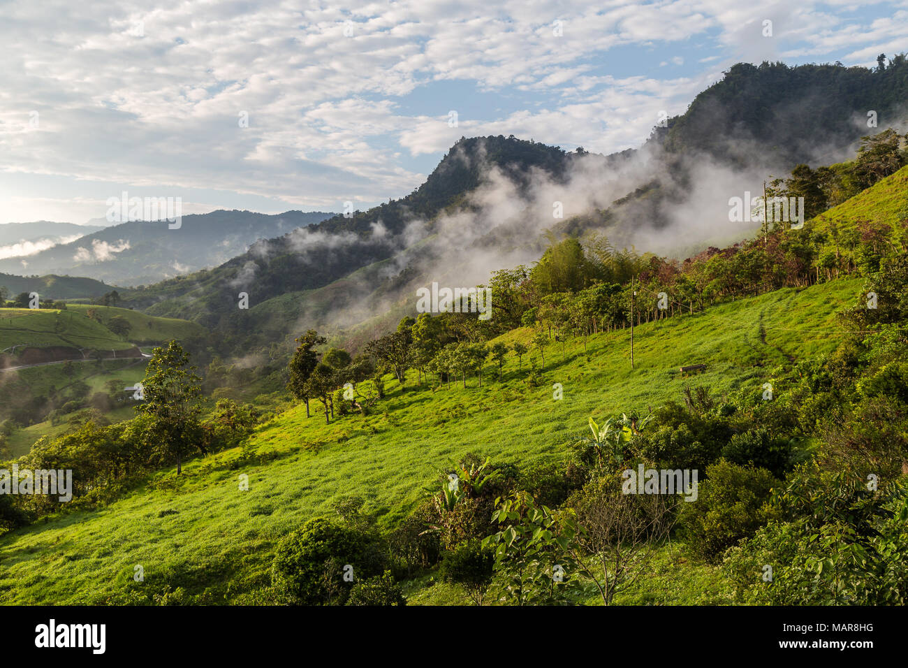 Choco natural region hi-res stock photography and images - Alamy