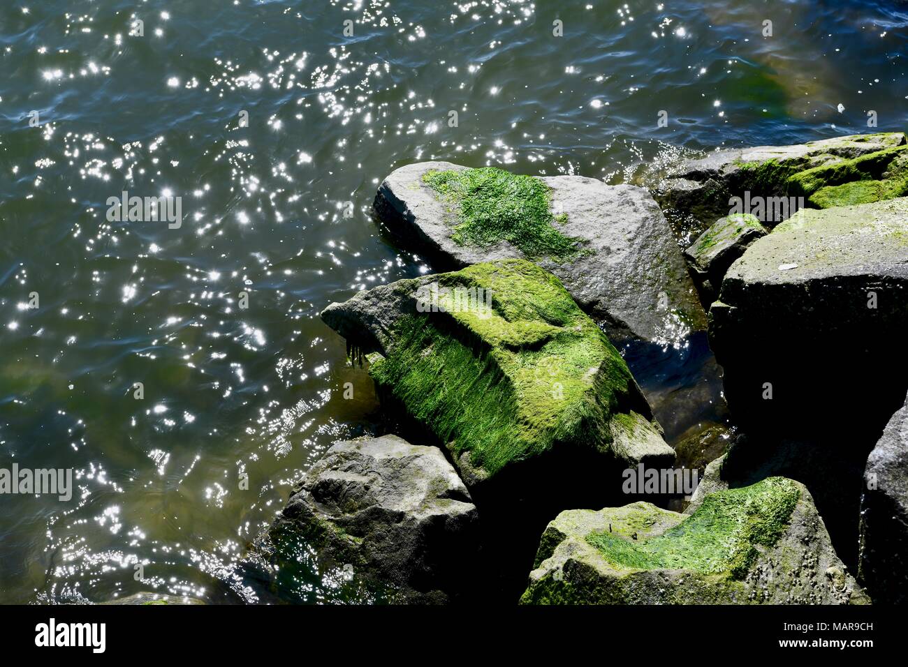 Moss rocks hi-res stock photography and images - Alamy