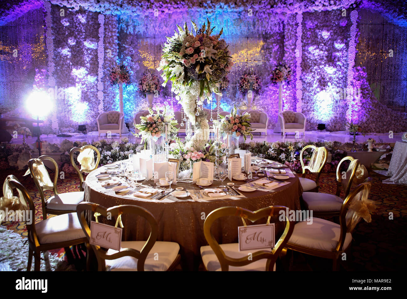 Purple themed room hi-res stock photography and images - Alamy