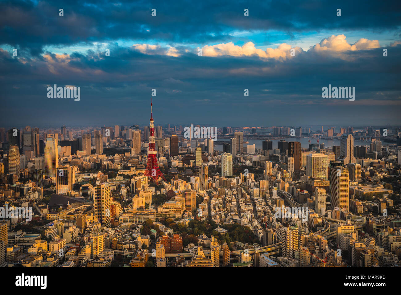 Tokyo downtown panorama hi-res stock photography and images - Alamy