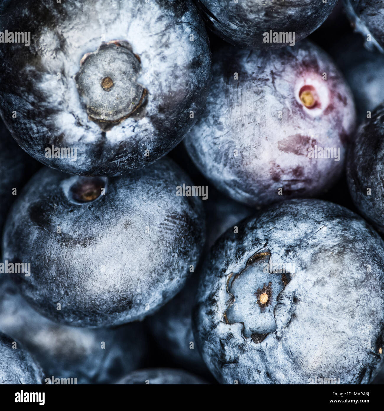 Blueberries detail hi-res stock photography and images - Alamy