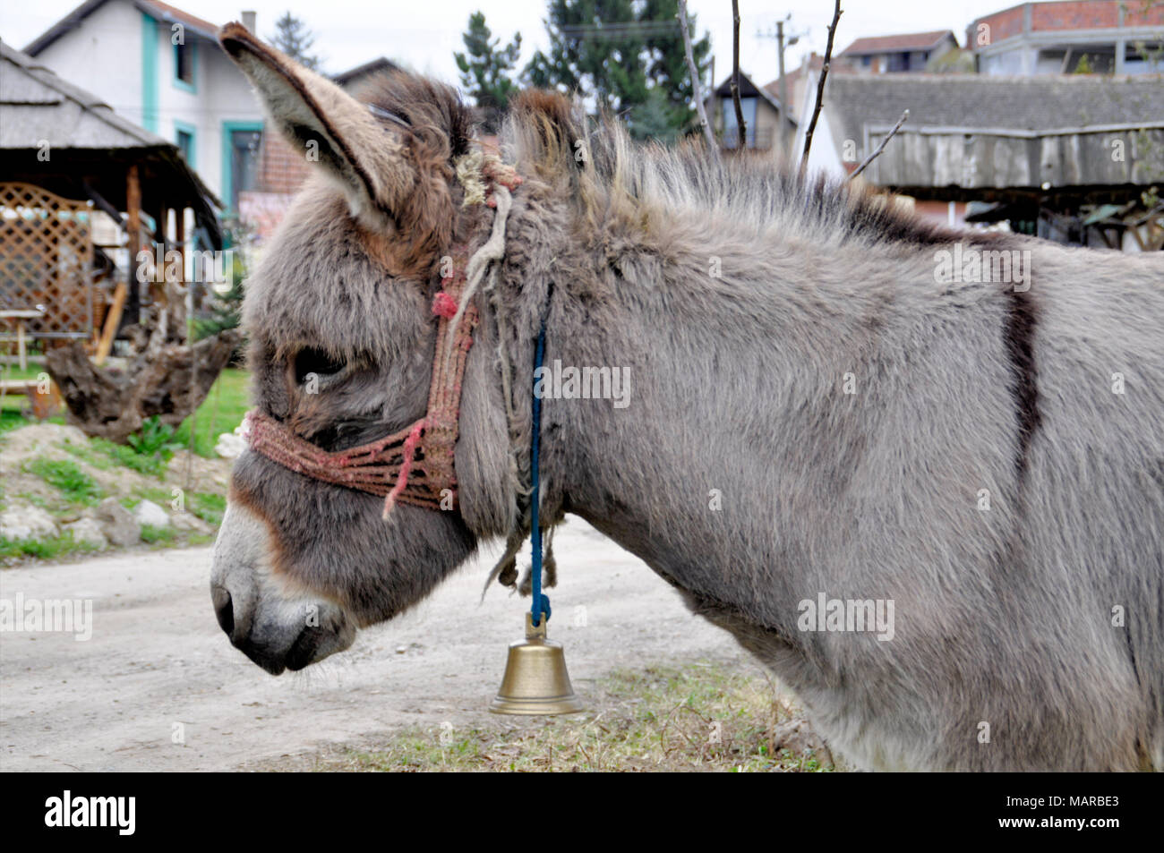 Small house with donkey hi-res stock photography and images - Alamy