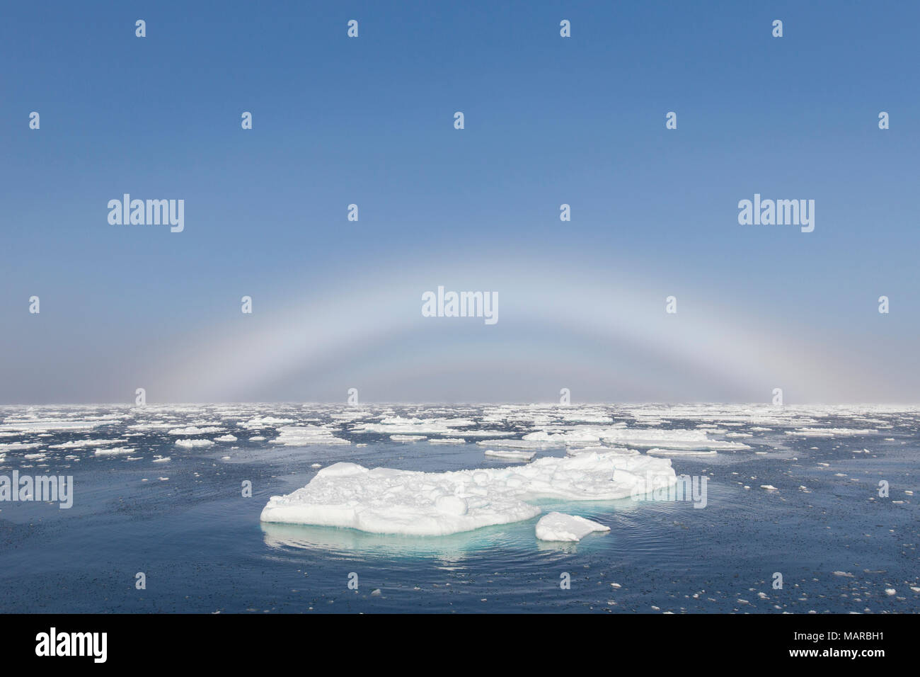 Arctic sea ice fog hi-res stock photography and images - Alamy