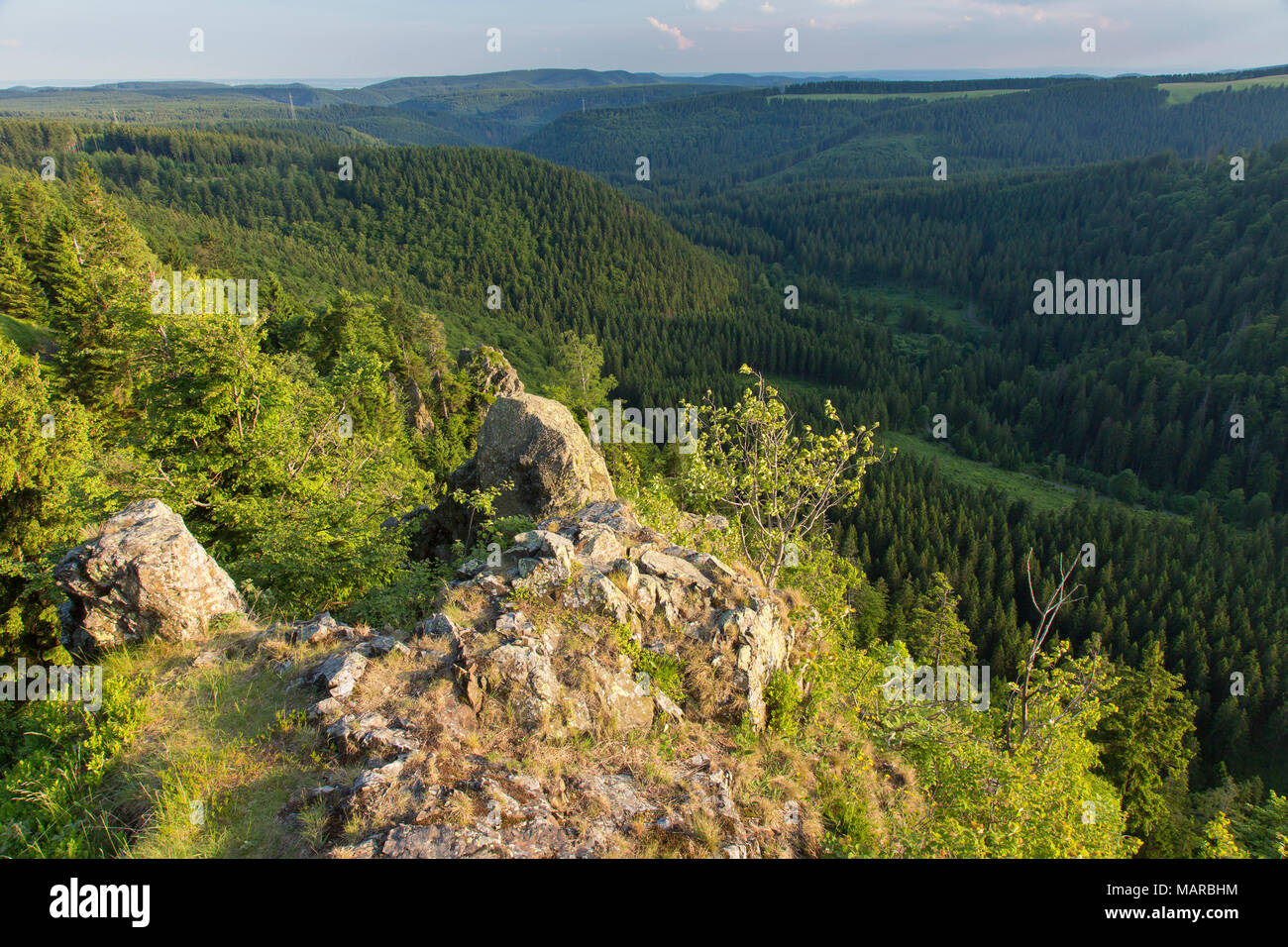 Harz national park hi-res stock photography and images - Alamy