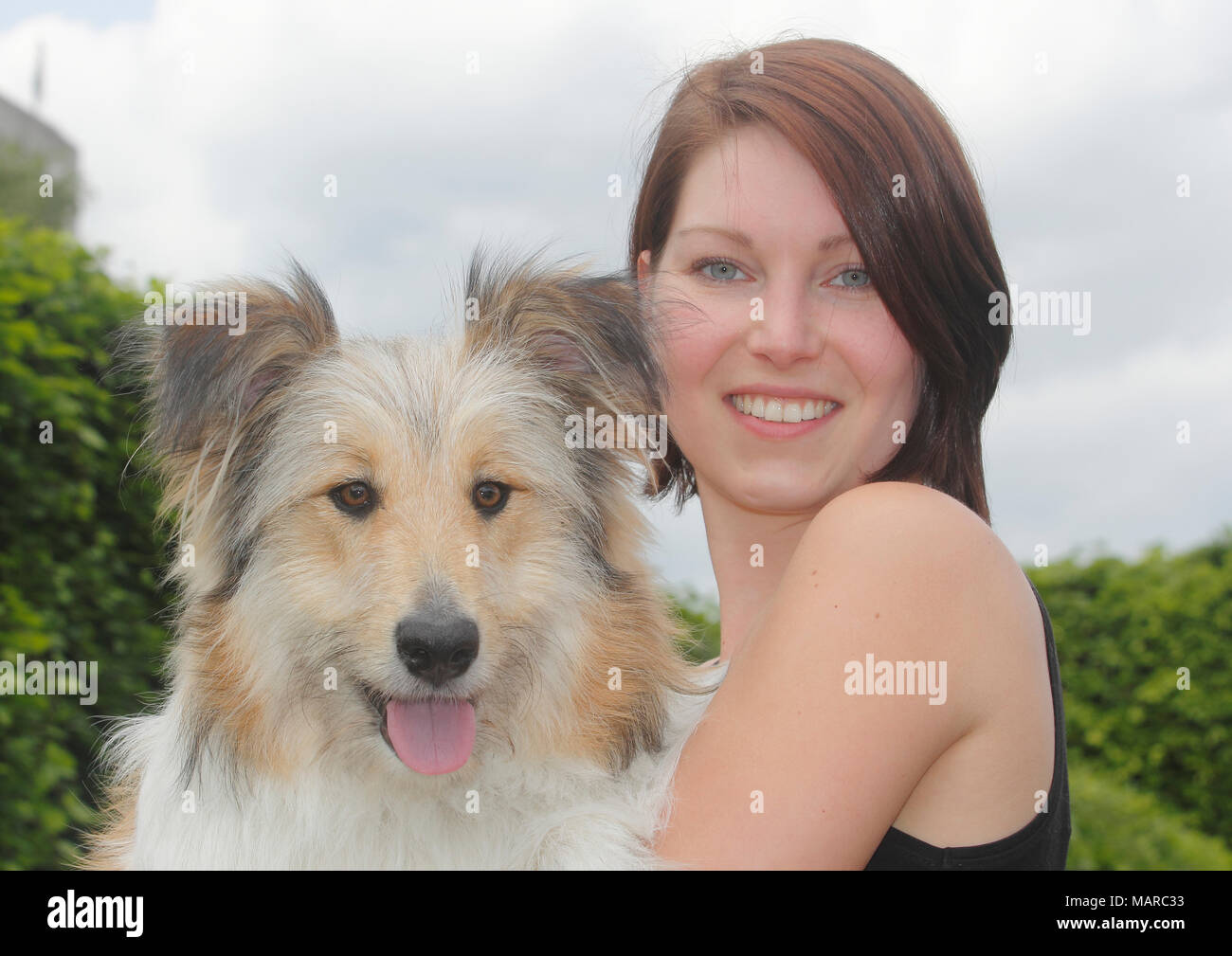 Bearded dog hi-res stock photography and images - Alamy