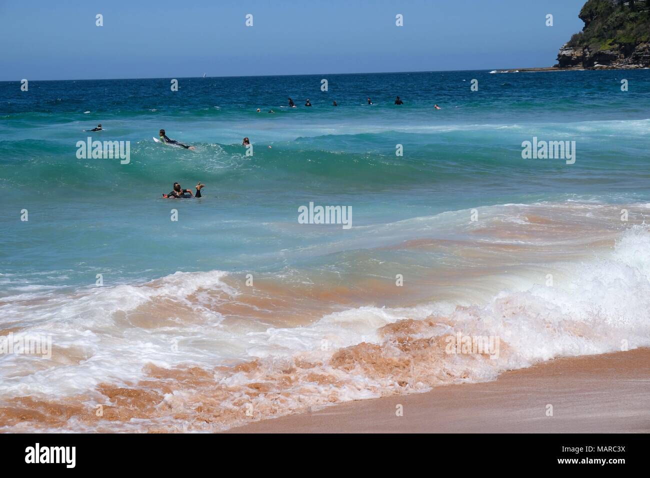 Whale beach sydney hi-res stock photography and images - Alamy