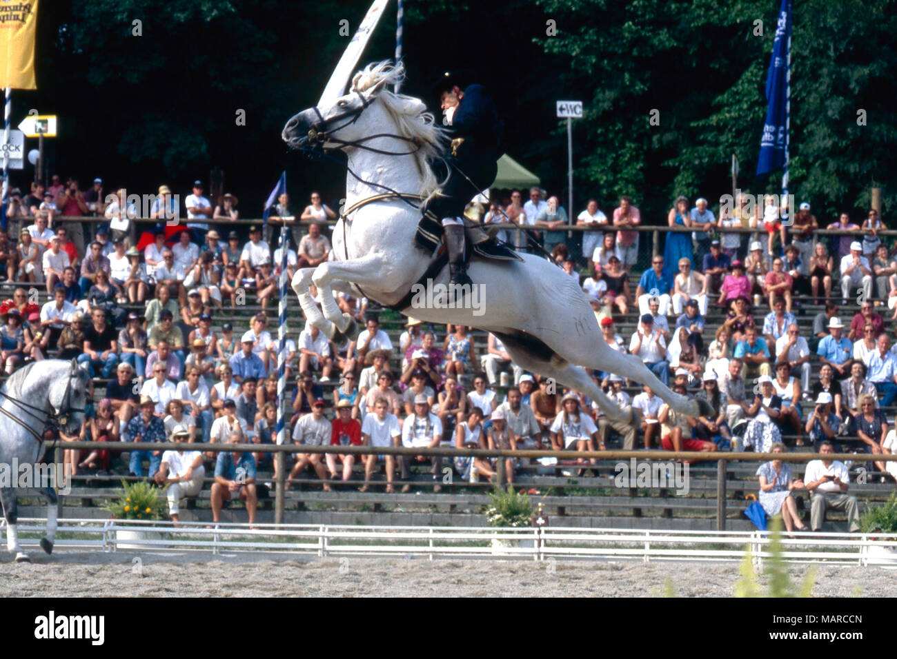 Capriole hi-res stock photography and images - Alamy