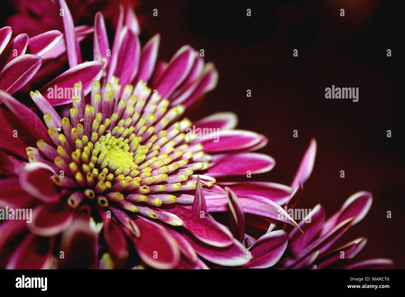 Black stil hi-res stock photography and images - Alamy