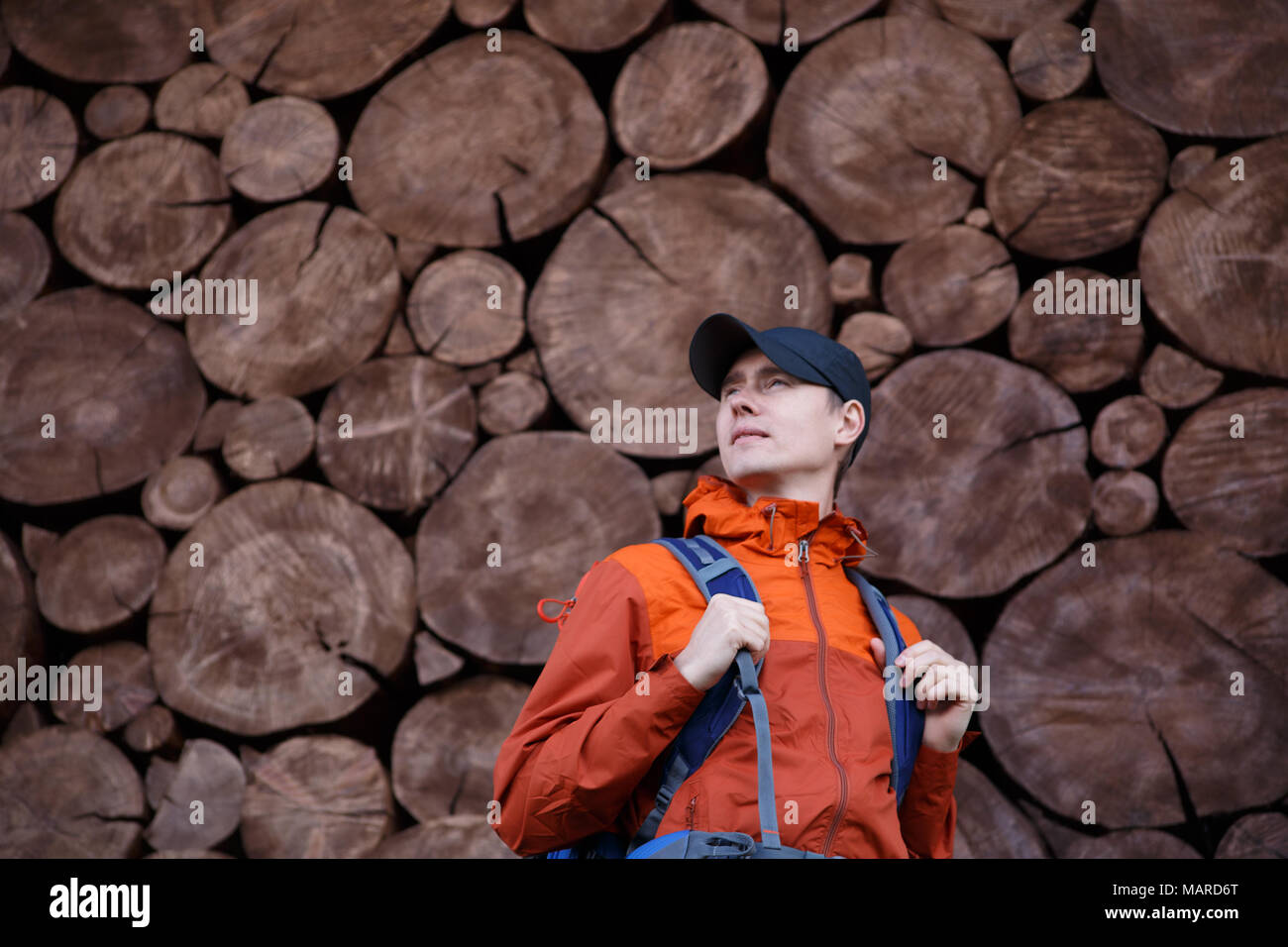 Logging wall hi-res stock photography and images - Alamy