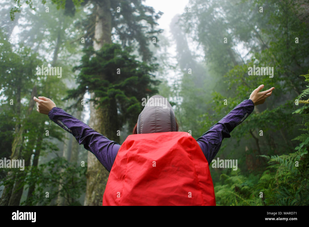 Beautiful girl raised arms hi-res stock photography and images - Alamy