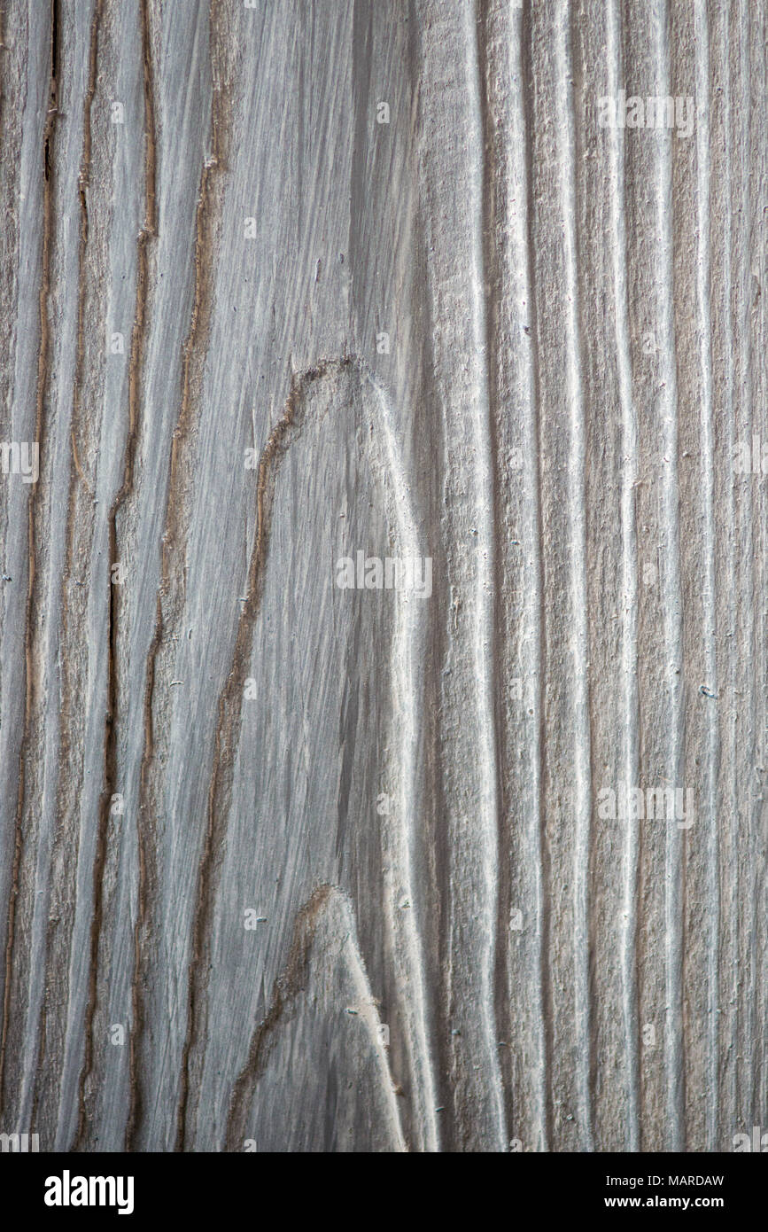 Wood texture. Gray timber board with weathered crack lines. Natural ...