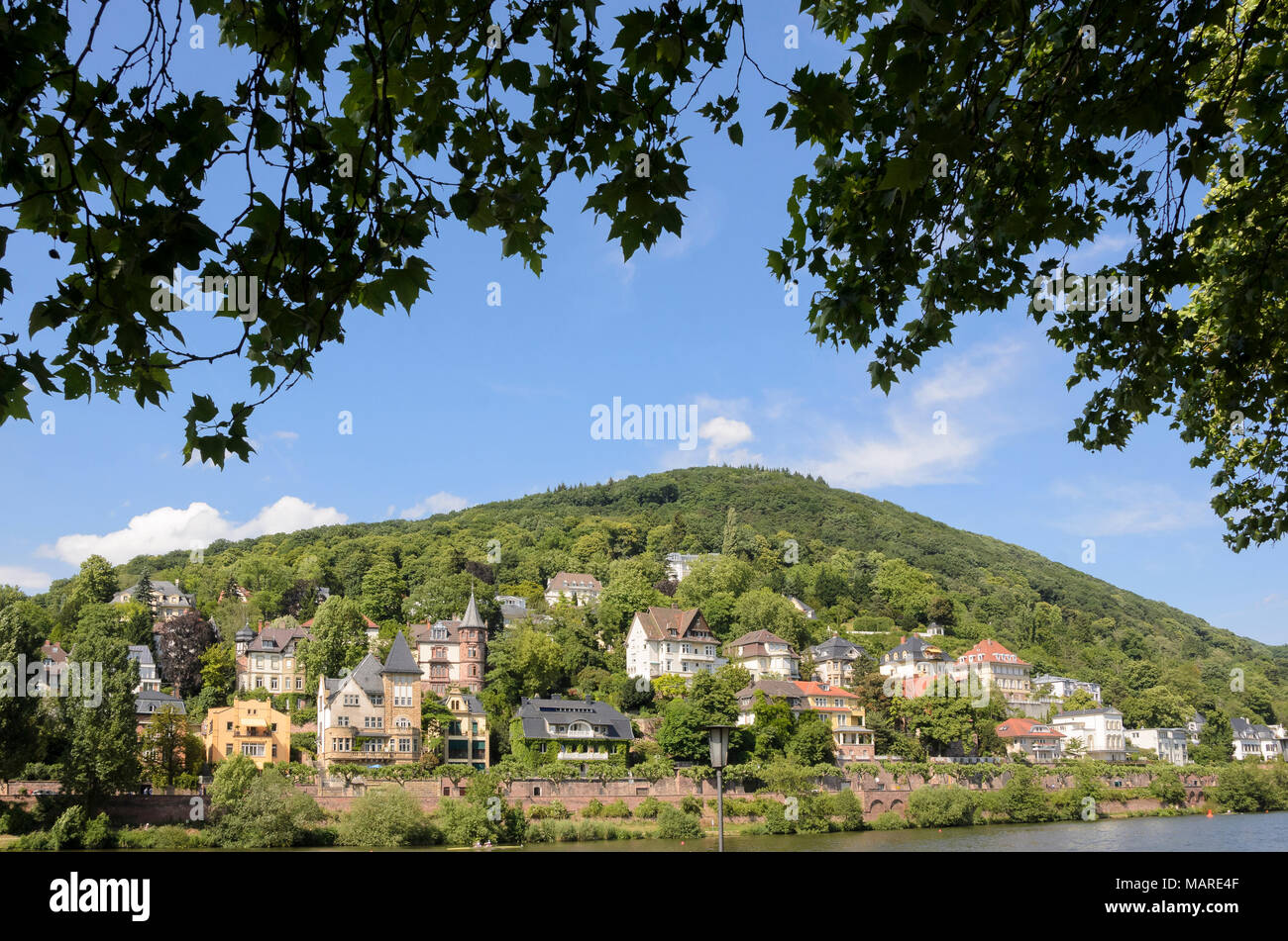 Neckarufer hi-res stock photography and images - Alamy