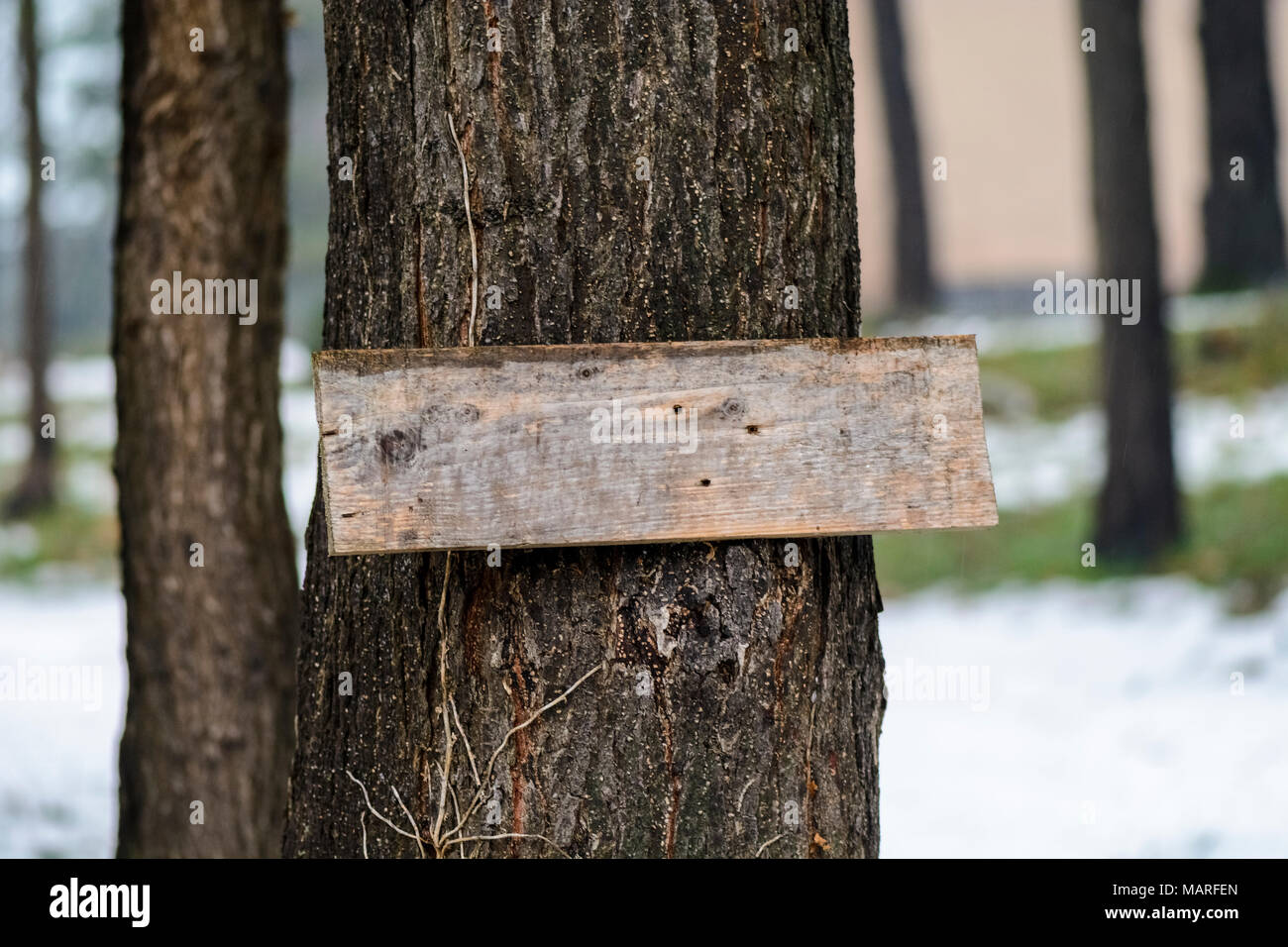Poster pinned to tree hi-res stock photography and images - Alamy