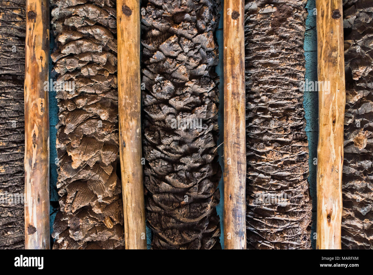 Palm texture hi-res stock photography and images - Alamy