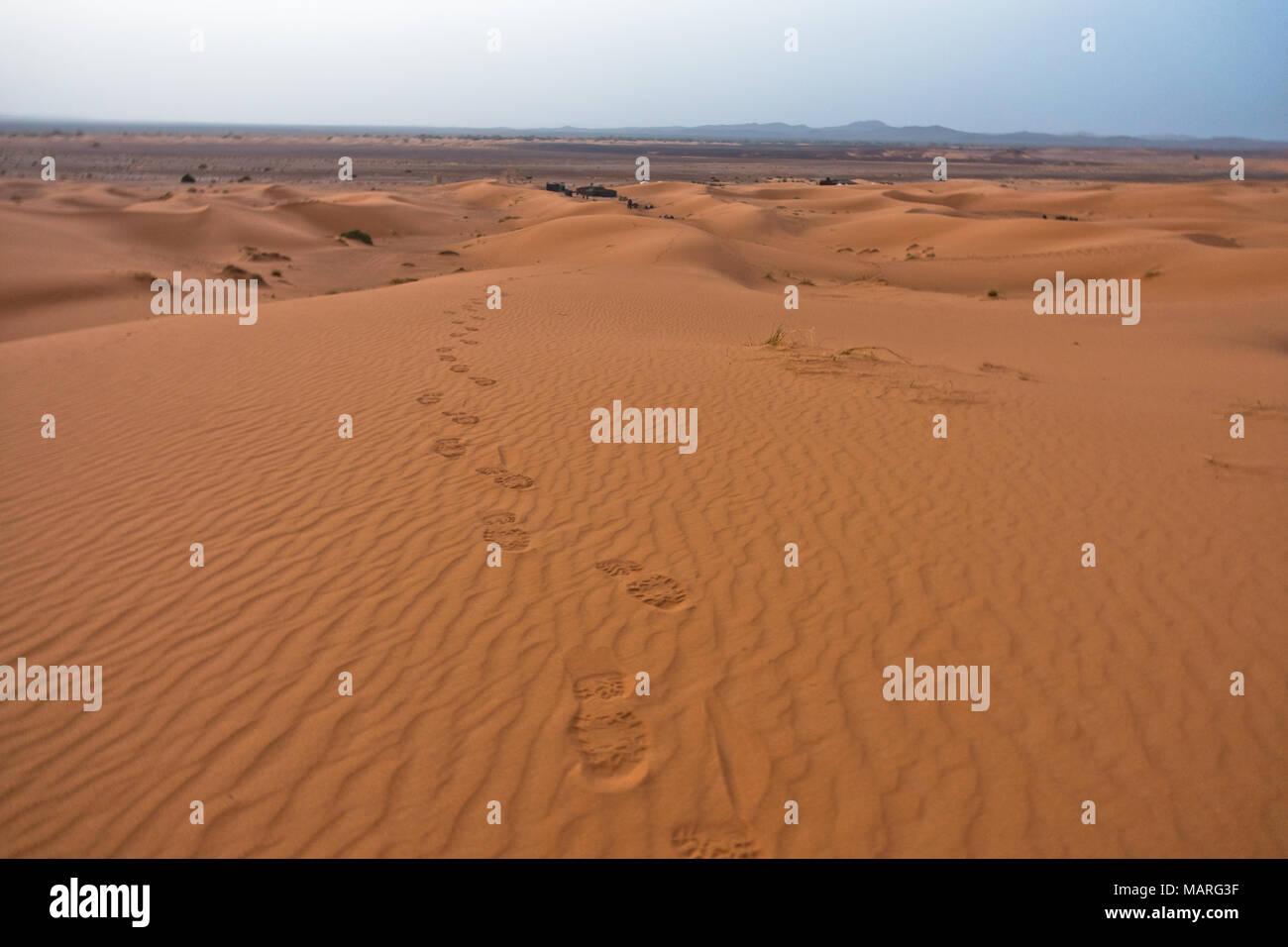 Steps in a sand at the edge of Sahara desert, Erg Chebbi, Morocco Stock ...