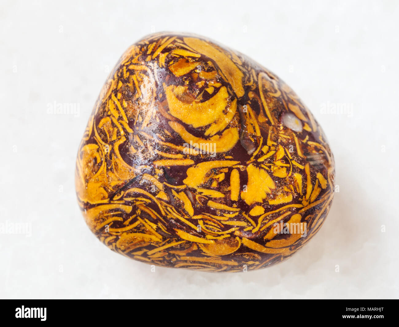 Coquina jasper hi-res stock photography and images - Alamy