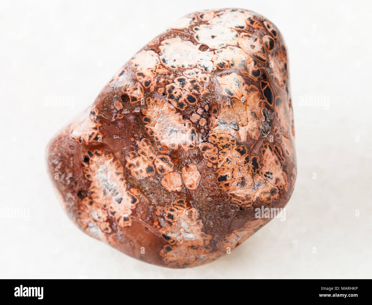 macro shooting of natural mineral rock specimen - tumbled leopardskin ...