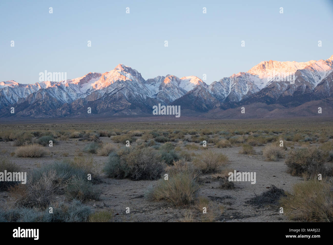 Morning in owens valley hi-res stock photography and images - Alamy