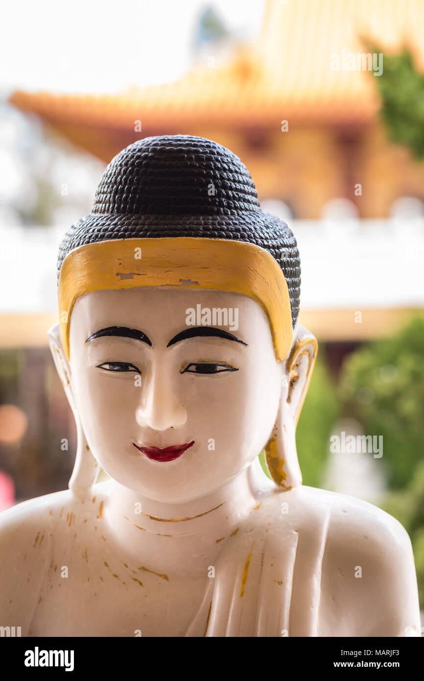 Hacienda Heights, CA, USA - March 23, 2018: Closeup of head of White ...