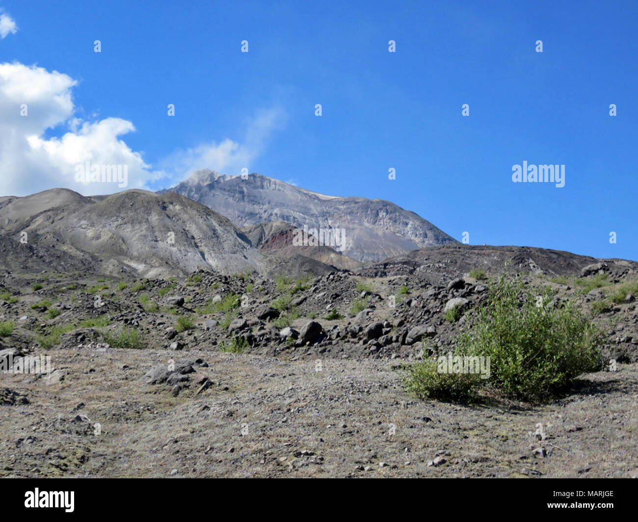 Truman Loowit Trail at Mt St Helens NM in Stock Photo - Alamy