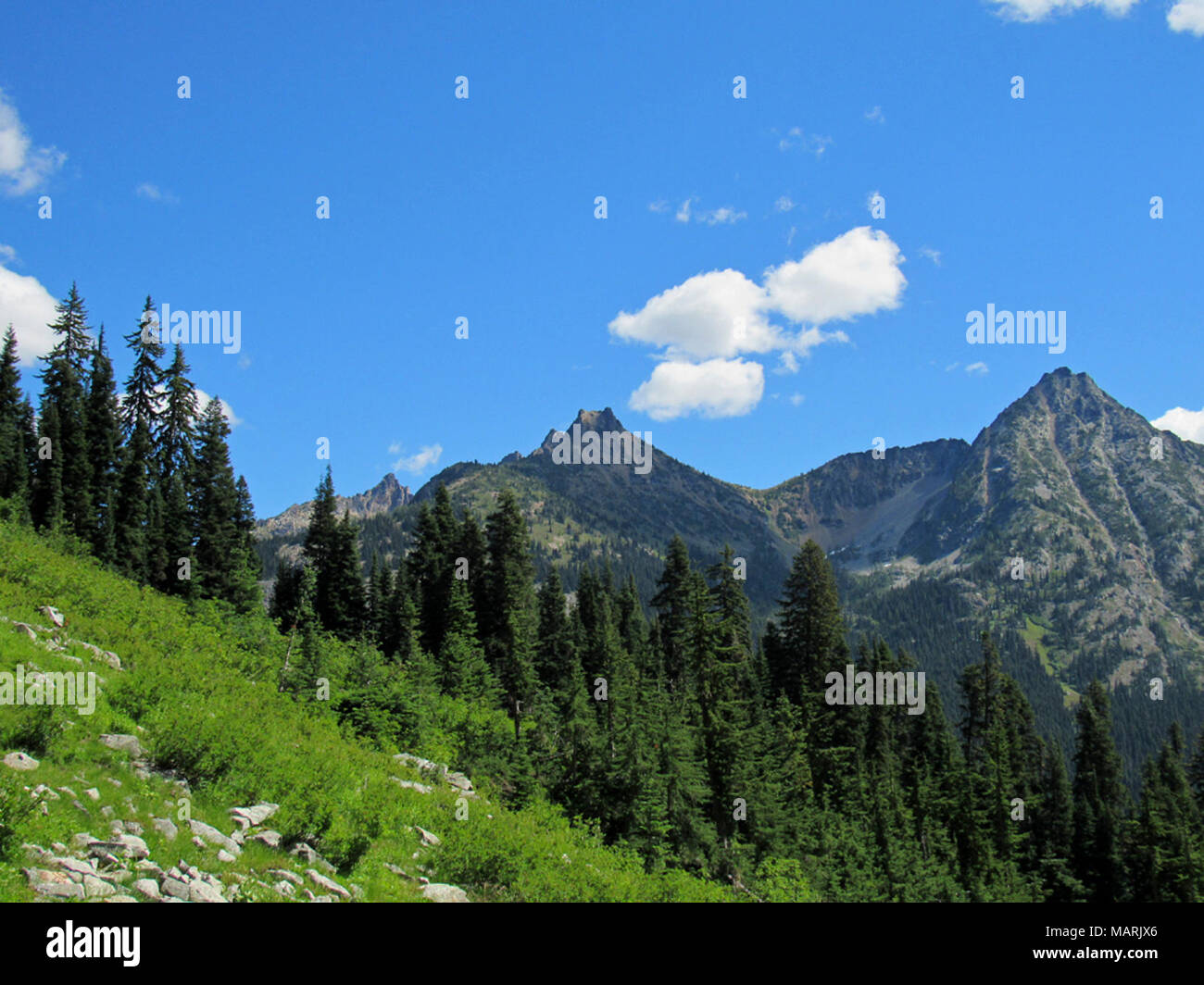 Maple Pass Trail at North Cascades NP in WA Stock Photo - Alamy
