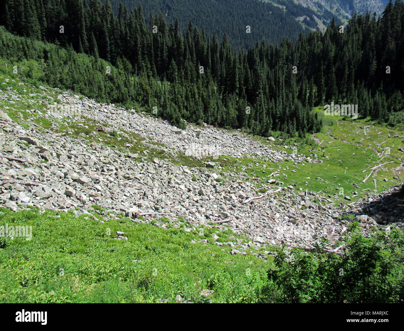 Maple Pass Trail at North Cascades NP in WA Stock Photo - Alamy