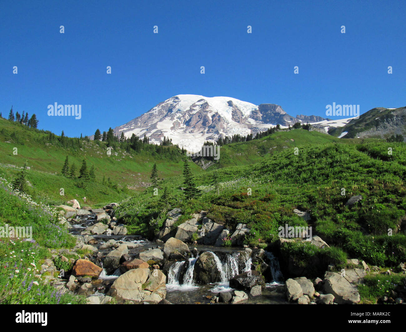 Waterfall at Skyline Trail at Mt Rainier NP in WA Stock Photo - Alamy