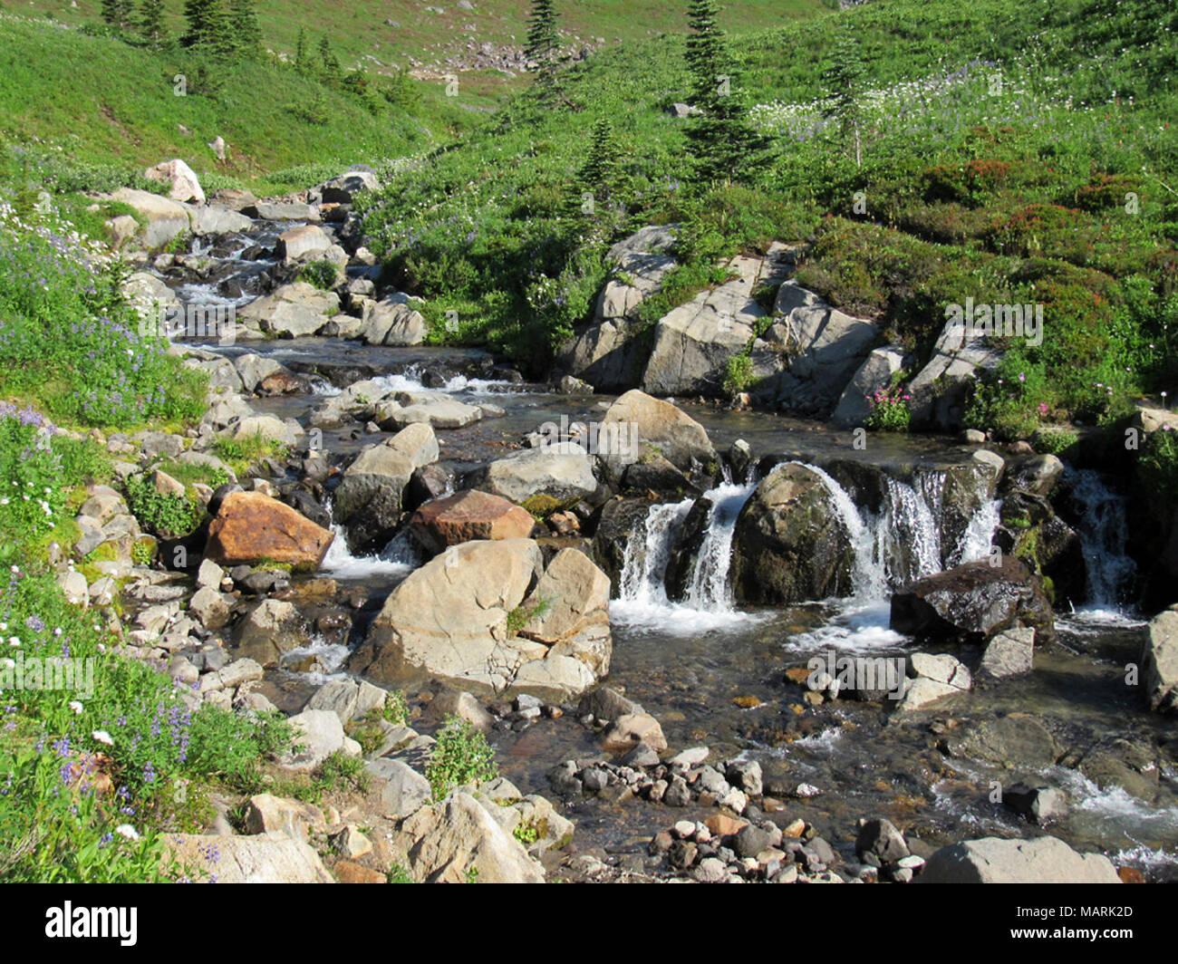 Waterfall at Skyline Trail at Mt Rainier NP in WA Stock Photo - Alamy