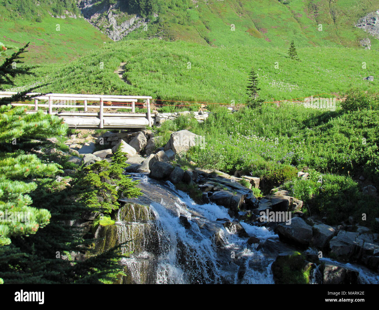 Waterfall at Skyline Trail at Mt Rainier NP in WA Stock Photo - Alamy