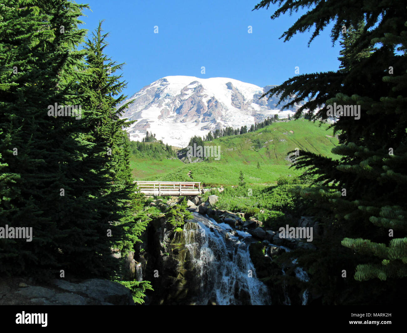 Waterfall at Skyline Trail at Mt Rainier NP in WA Stock Photo - Alamy