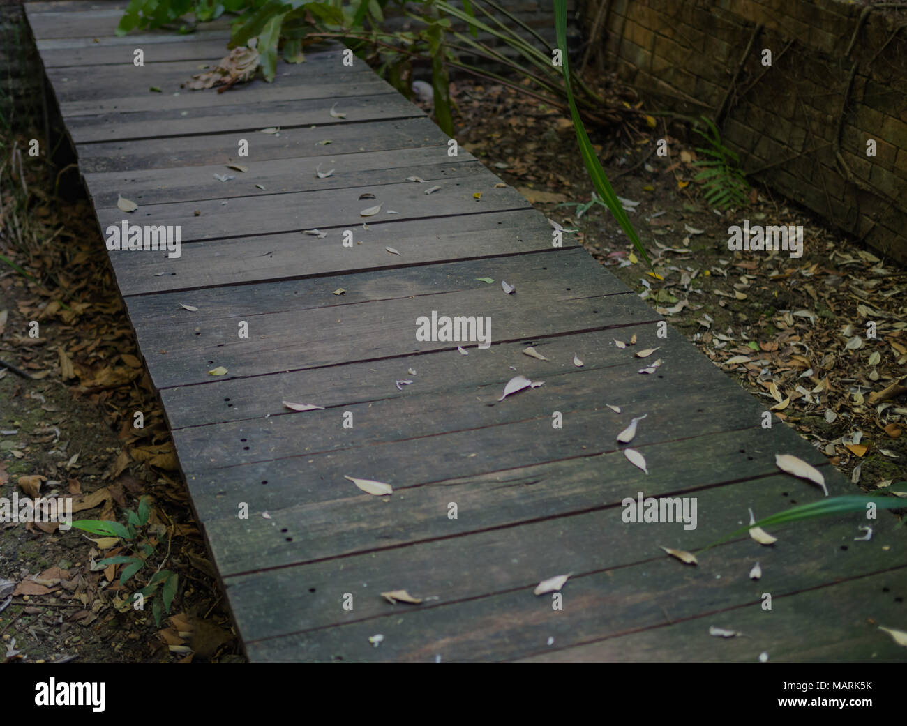 Victorian house and fall leaves hi-res stock photography and images - Alamy