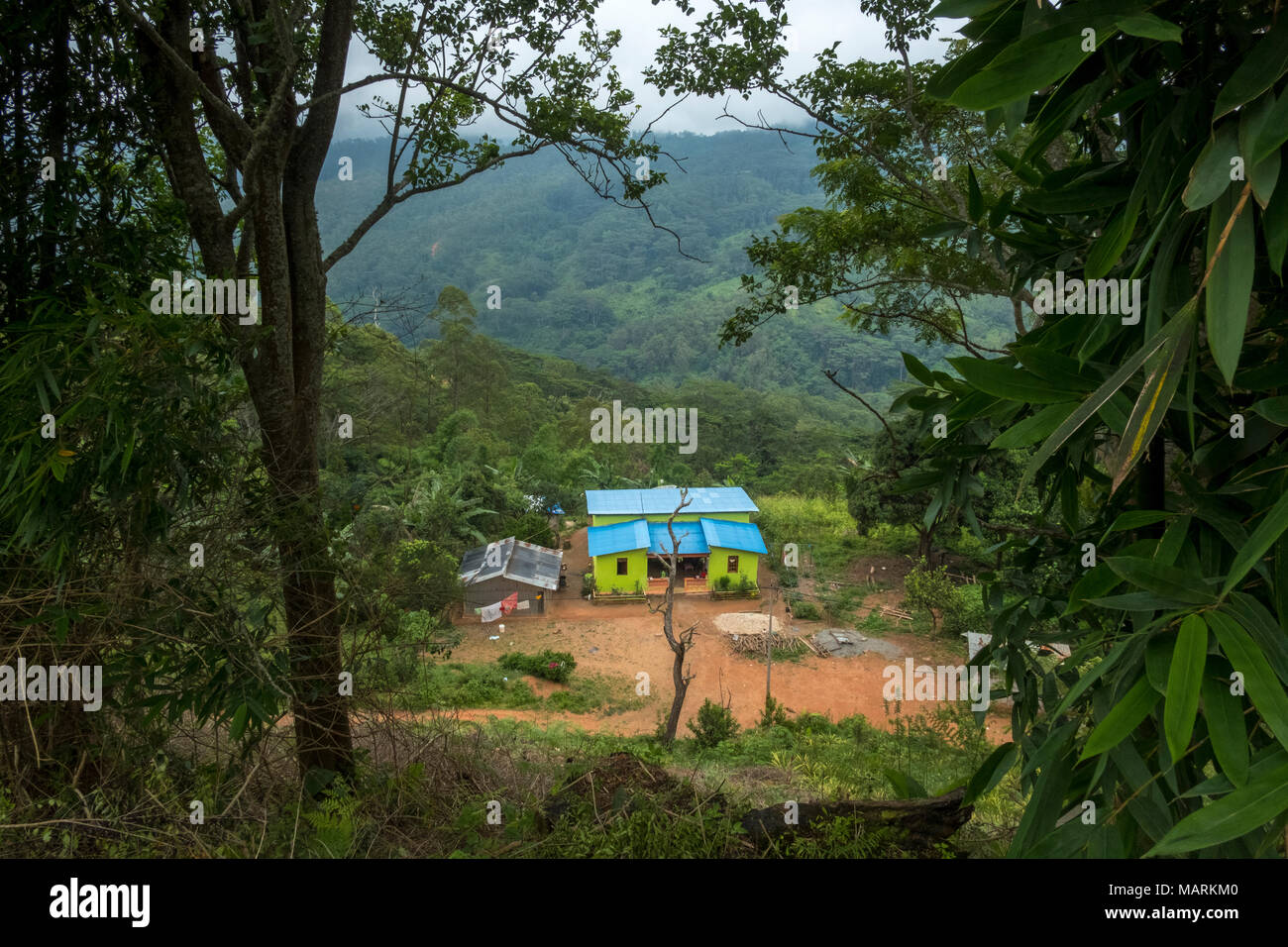 Brightly painted buildings in Cocoa village, Ermera district, Timor ...