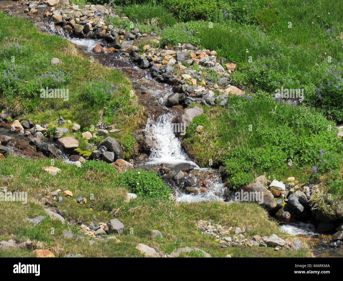 Waterfall at Skyline Trail at Mt Rainier NP in WA Stock Photo - Alamy