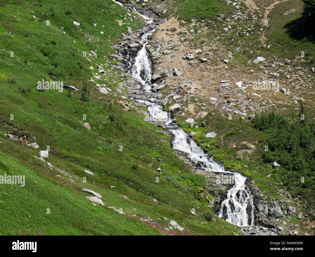 Waterfall at Skyline Trail at Mt Rainier NP in WA Stock Photo - Alamy