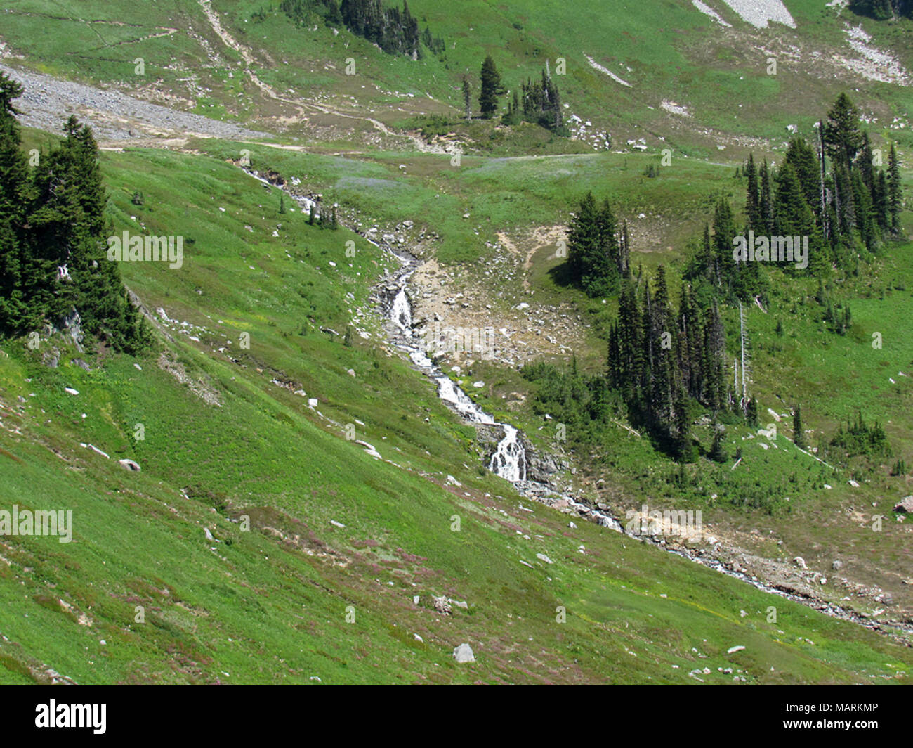 Waterfall at Skyline Trail at Mt Rainier NP in WA Stock Photo - Alamy