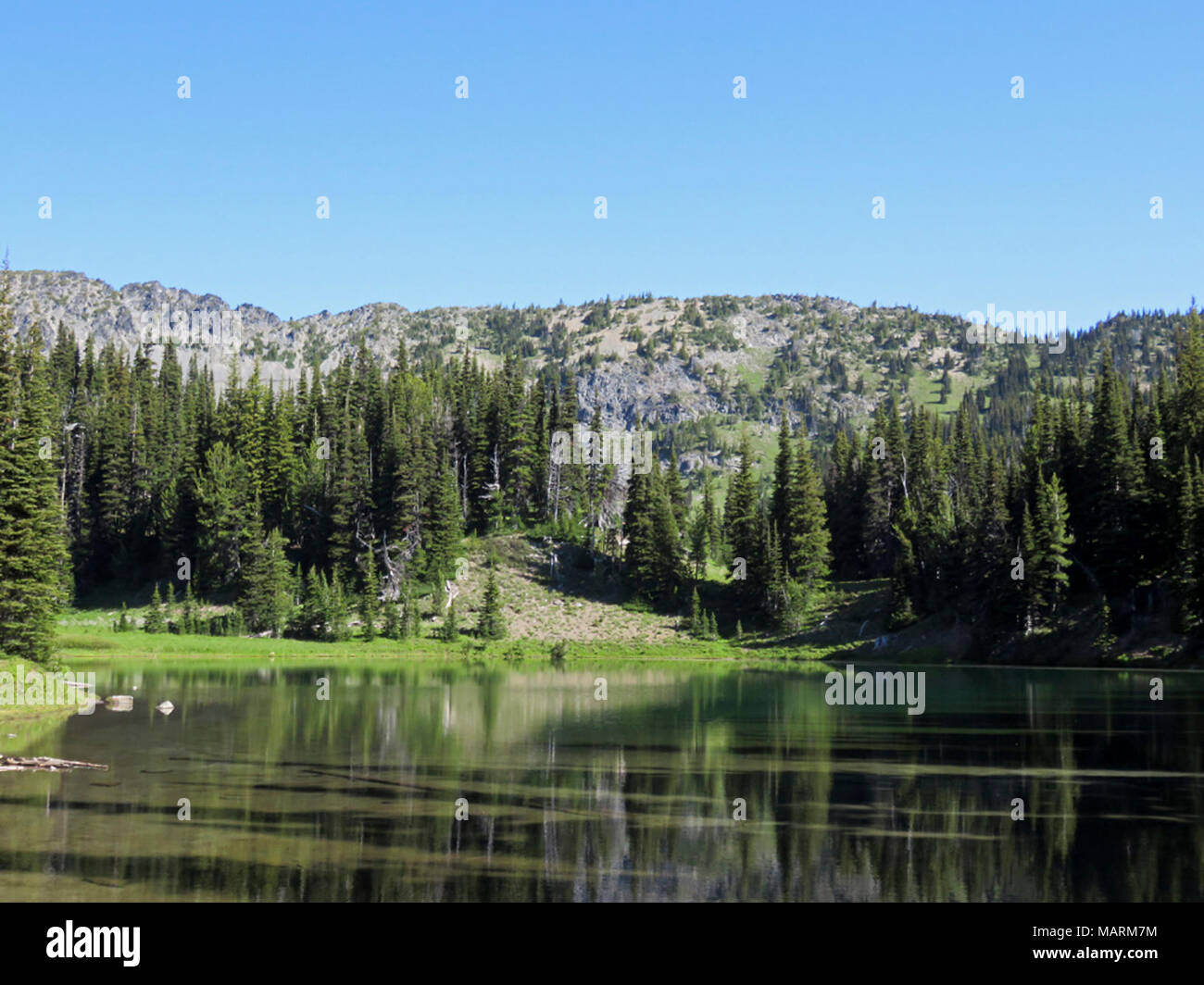 Shadow Lake at Mt Rainier NP in Washington Stock Photo - Alamy