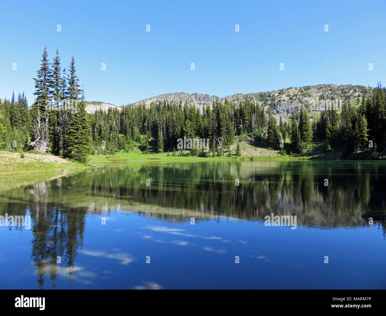 Shadow Lake at Mt Rainier NP in Washington Stock Photo - Alamy