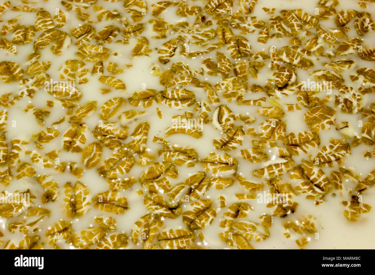 Wheat flakes and milk Stock Photo - Alamy